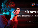 United States Metaverse Development Company